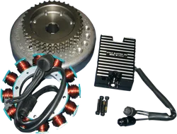 Cycle Electric 20A Charging System